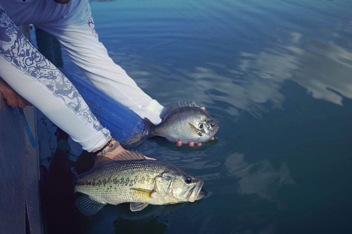Sarah Parvin’s Slab Lab: Giant Bluegill Project in Alabama