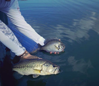Sarah Parvin’s Slab Lab: Giant Bluegill Project in Alabama