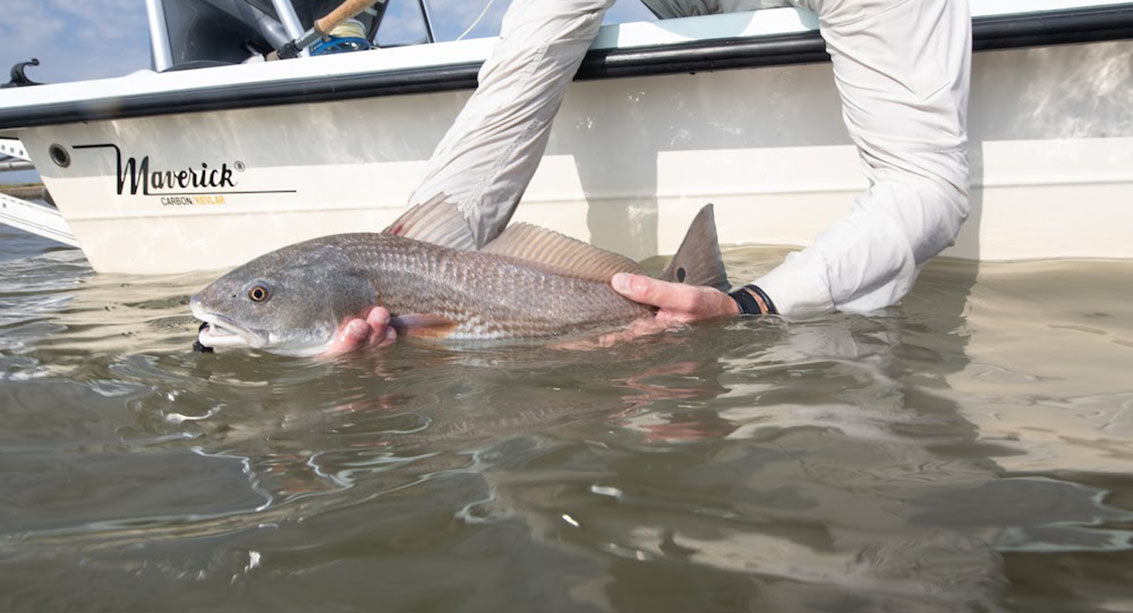 Fly Fishing for Redfish: 8 Pro Tips You Need to Know